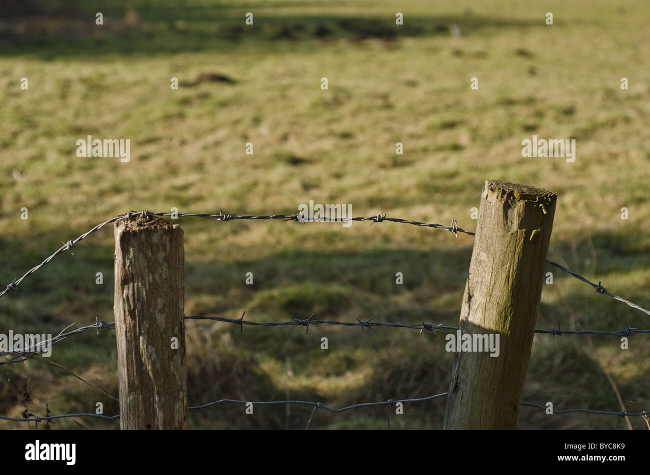 wooden fence posts with barbed wire in countryside Stock Photo - Alamy