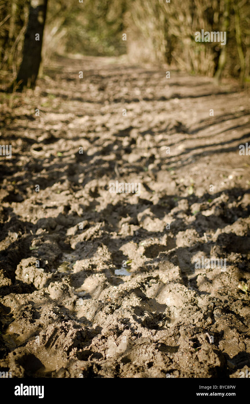 Mud lined hi-res stock photography and images - Alamy