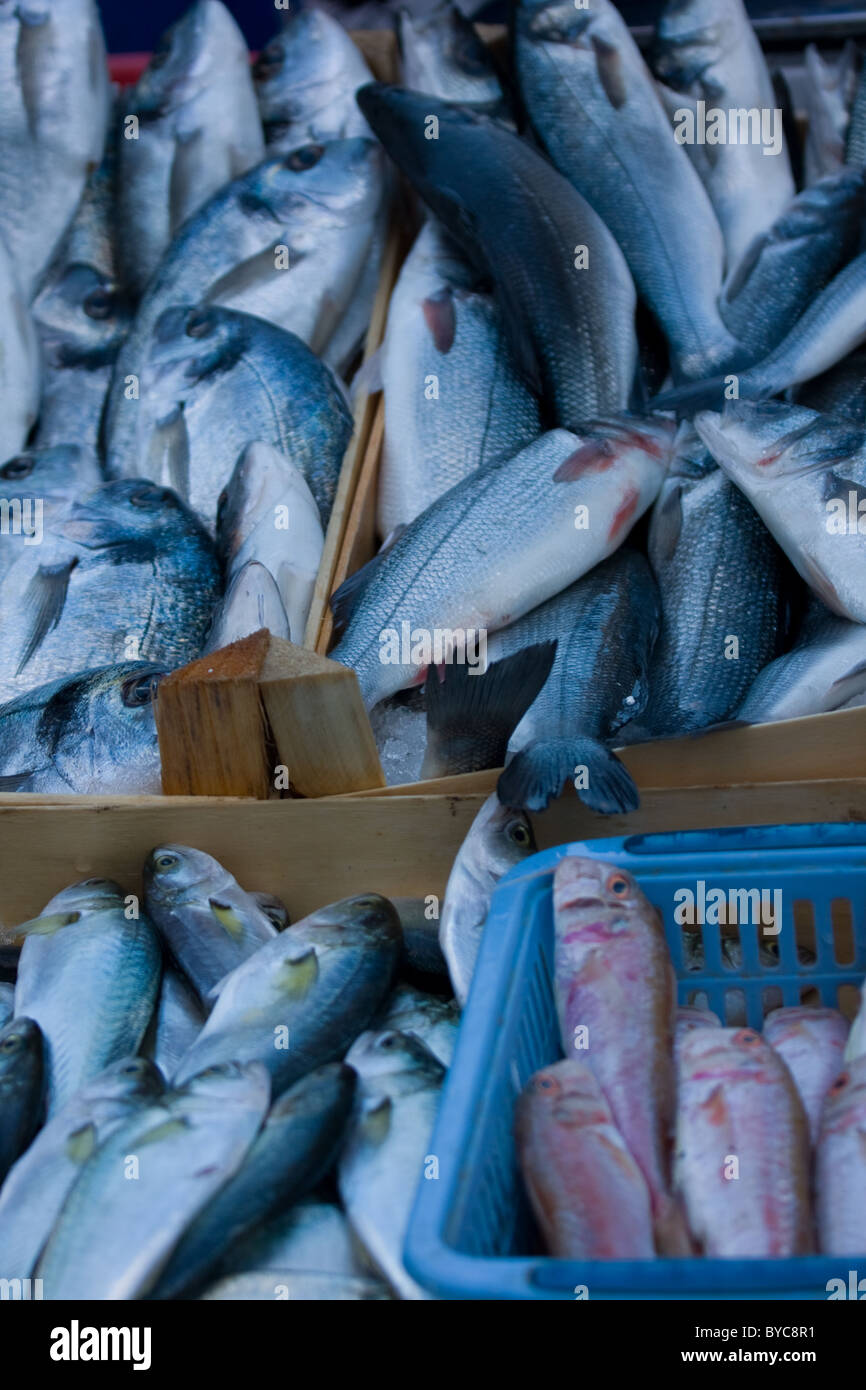 different kind of fishes in sea market Stock Photo - Alamy