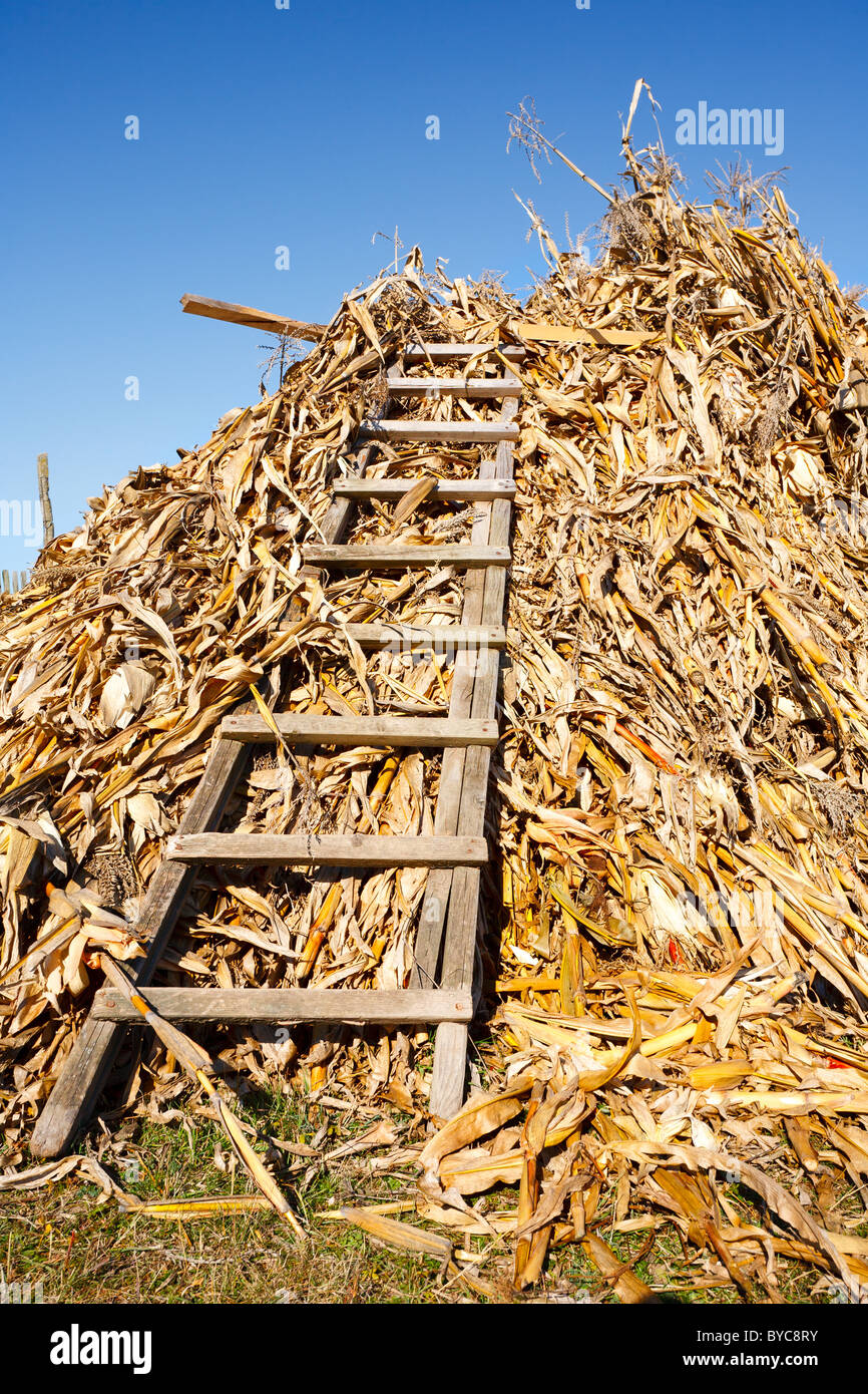 Bale of corn hi-res stock photography and images - Alamy