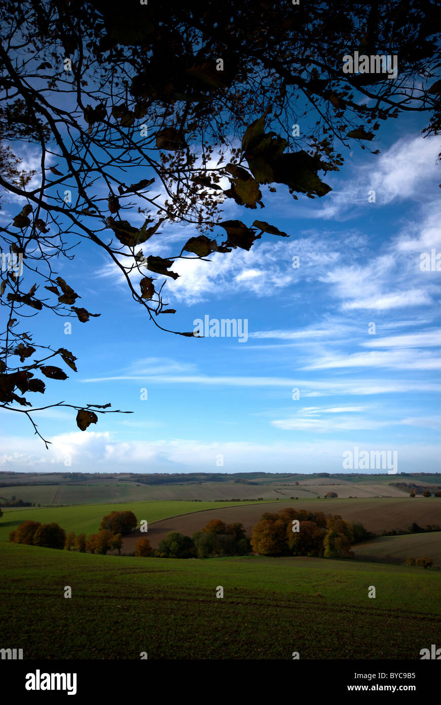 Baydon hi-res stock photography and images - Alamy