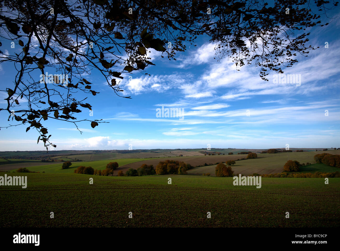 Baydon hi-res stock photography and images - Alamy