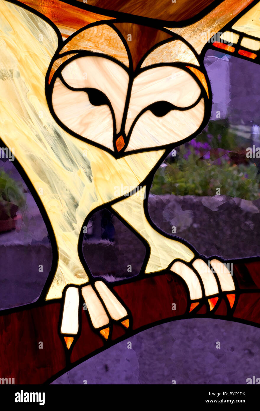 Detail of a stained glass window depicting an owl Stock Photo - Alamy
