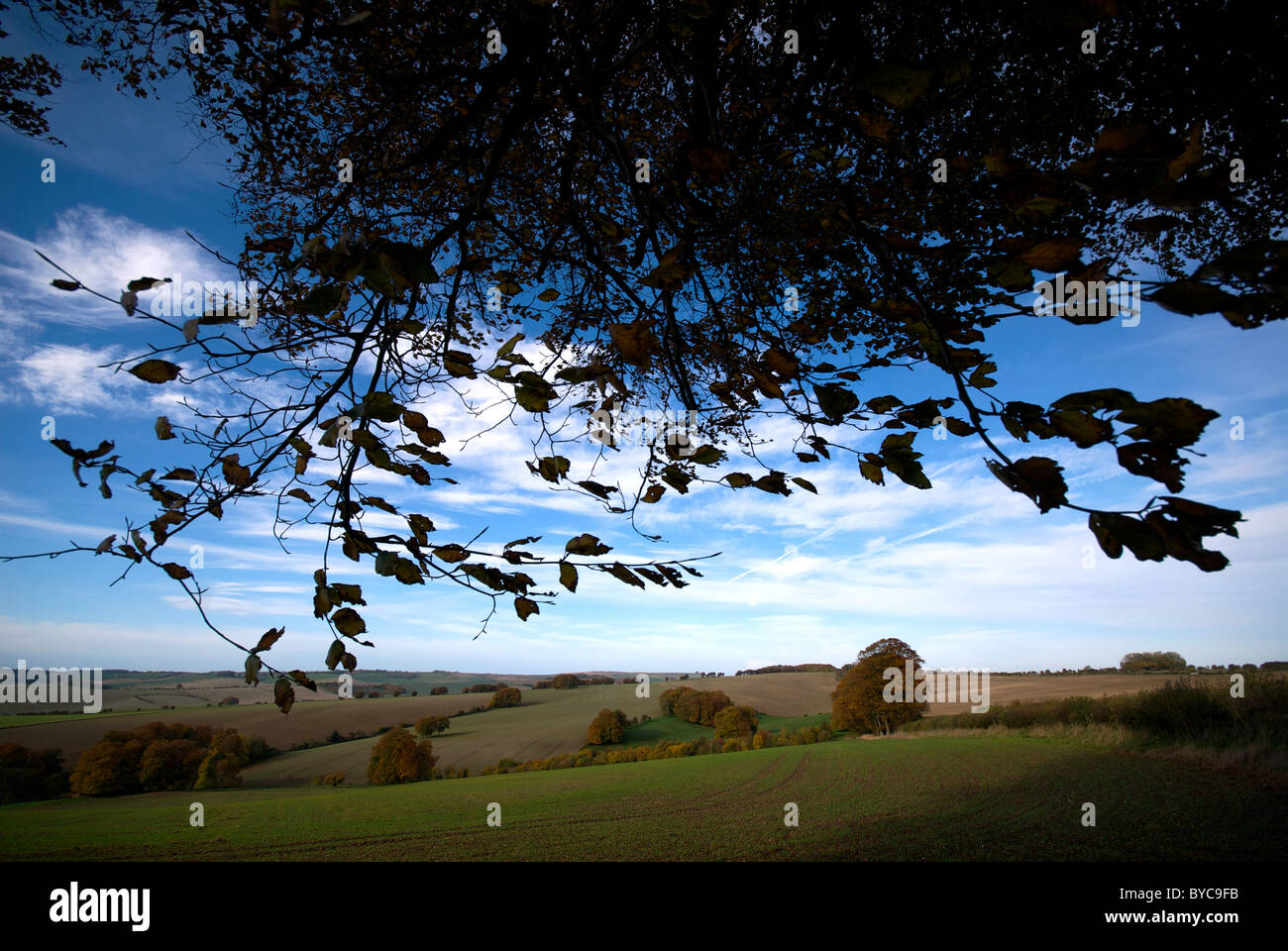 Baydon hi-res stock photography and images - Alamy