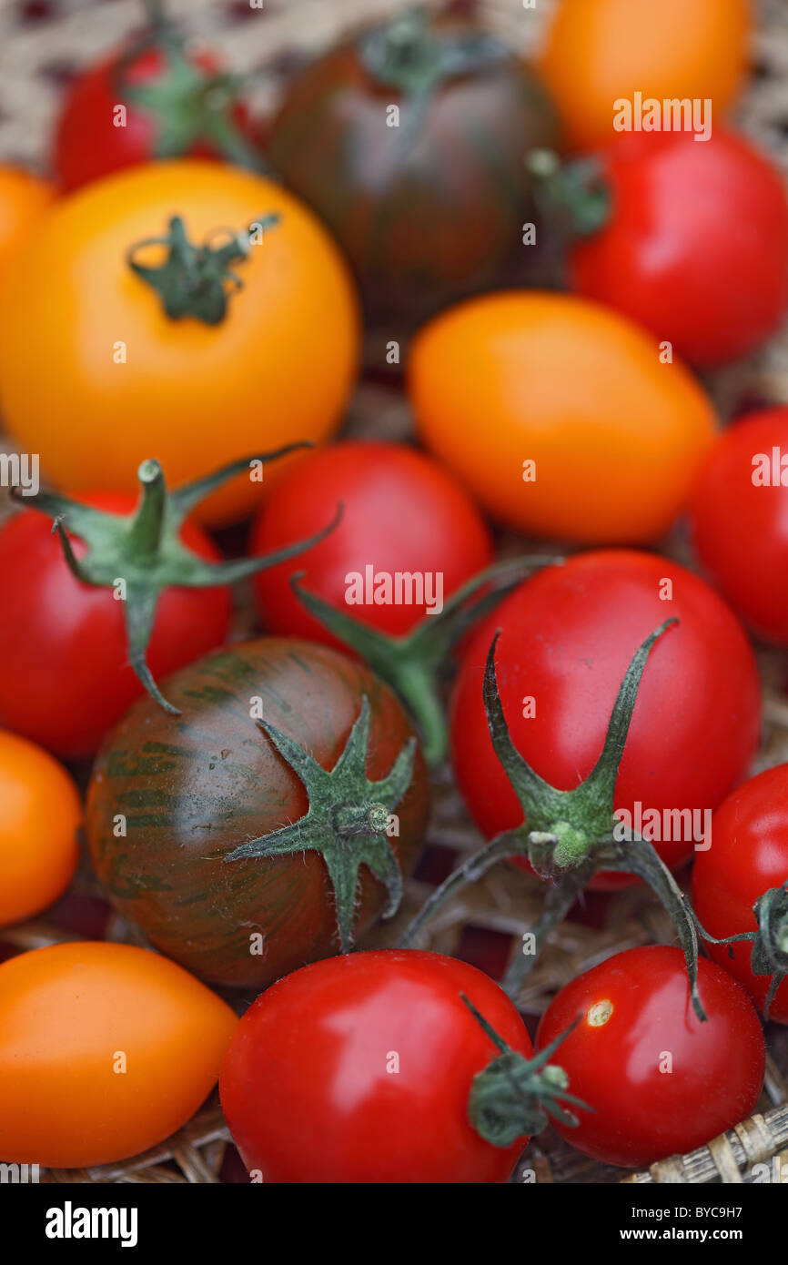 Mix color hi-res stock photography and images - Alamy