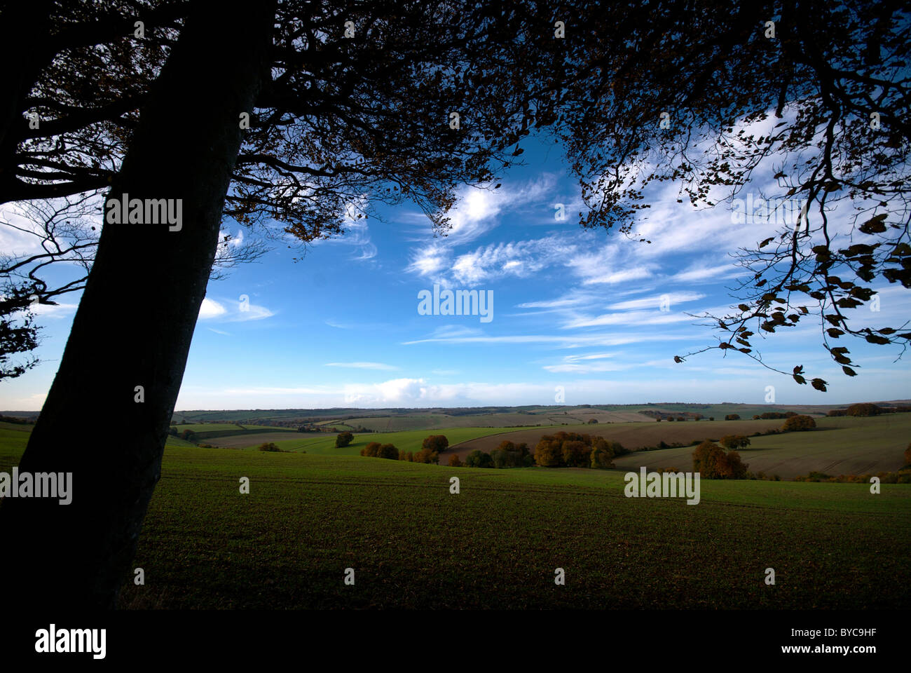 Baydon hi-res stock photography and images - Alamy