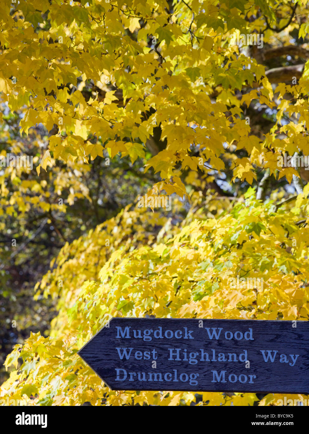 West highland way sign hi-res stock photography and images - Alamy
