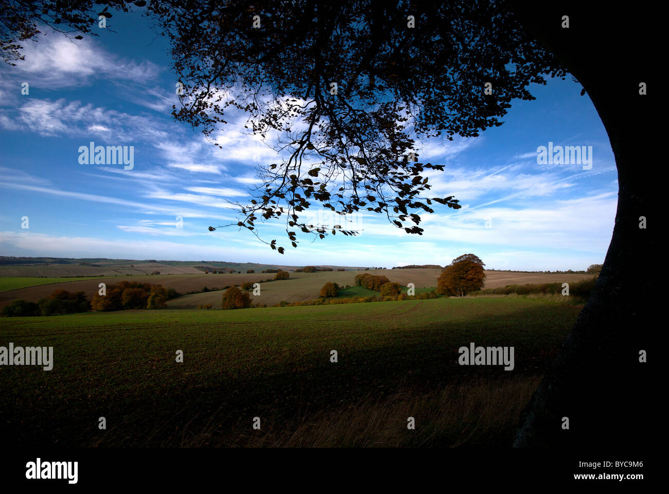 Baydon hi-res stock photography and images - Alamy