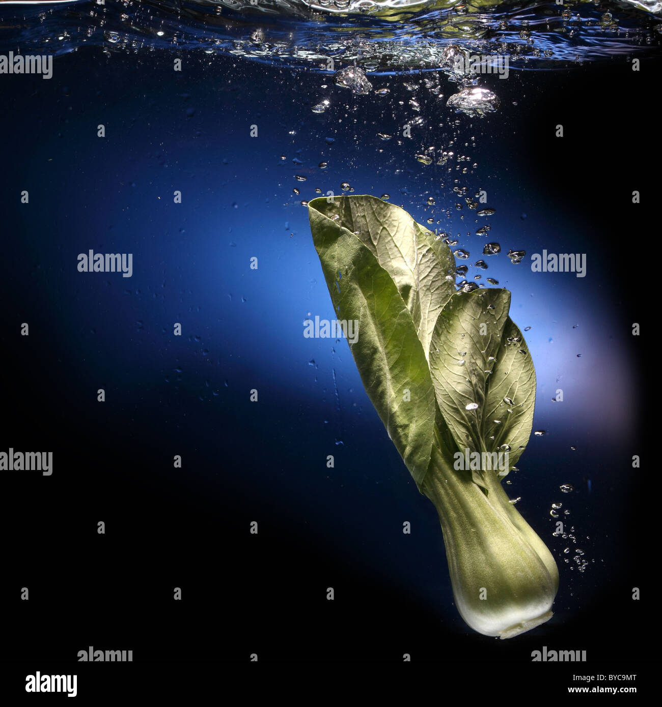 raw uncooked green pak choi water aquarium diving paprika bubbling ...