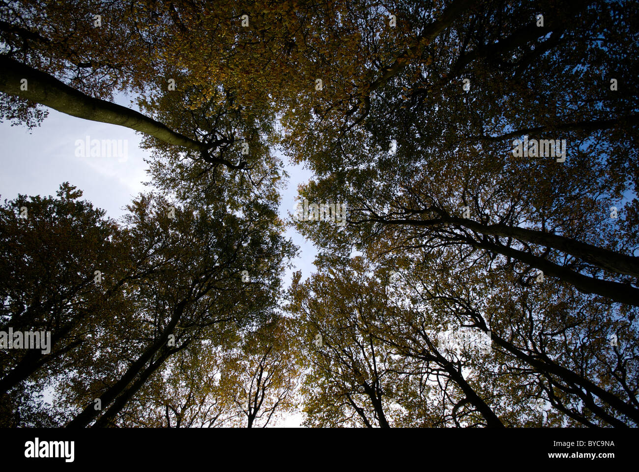 Baydon hi-res stock photography and images - Alamy