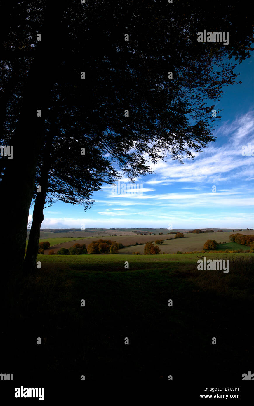 Baydon hi-res stock photography and images - Alamy