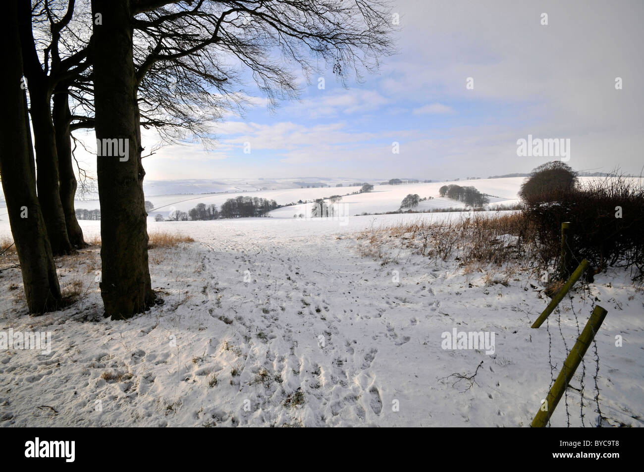 Baydon hi-res stock photography and images - Alamy