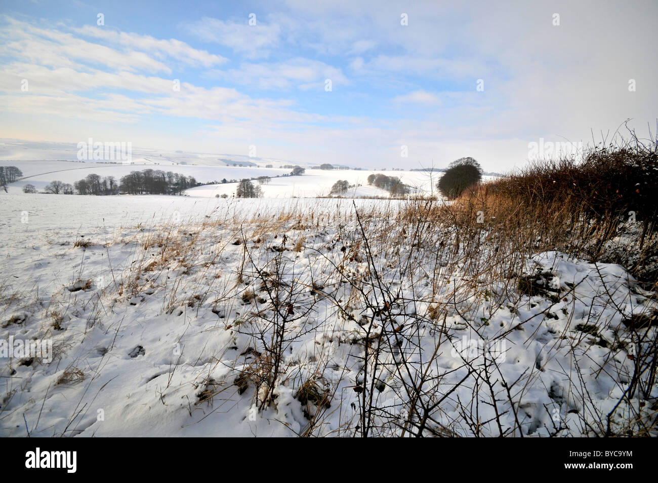 Baydon Wiltshire High Resolution Stock Photography and Images - Alamy