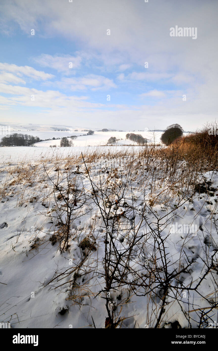 Baydon hi-res stock photography and images - Alamy