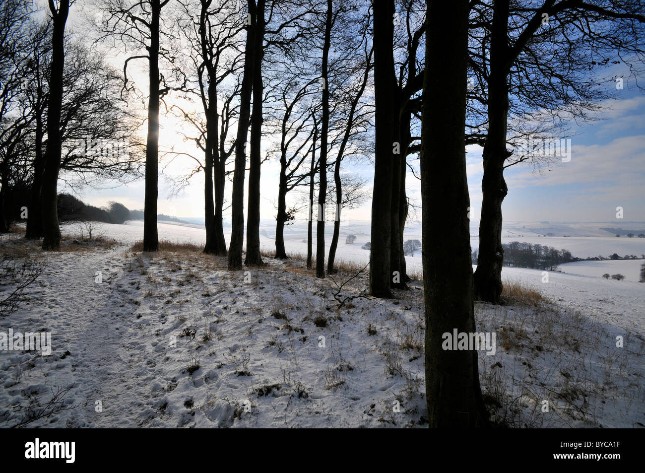 Baydon Wiltshire High Resolution Stock Photography and Images - Alamy