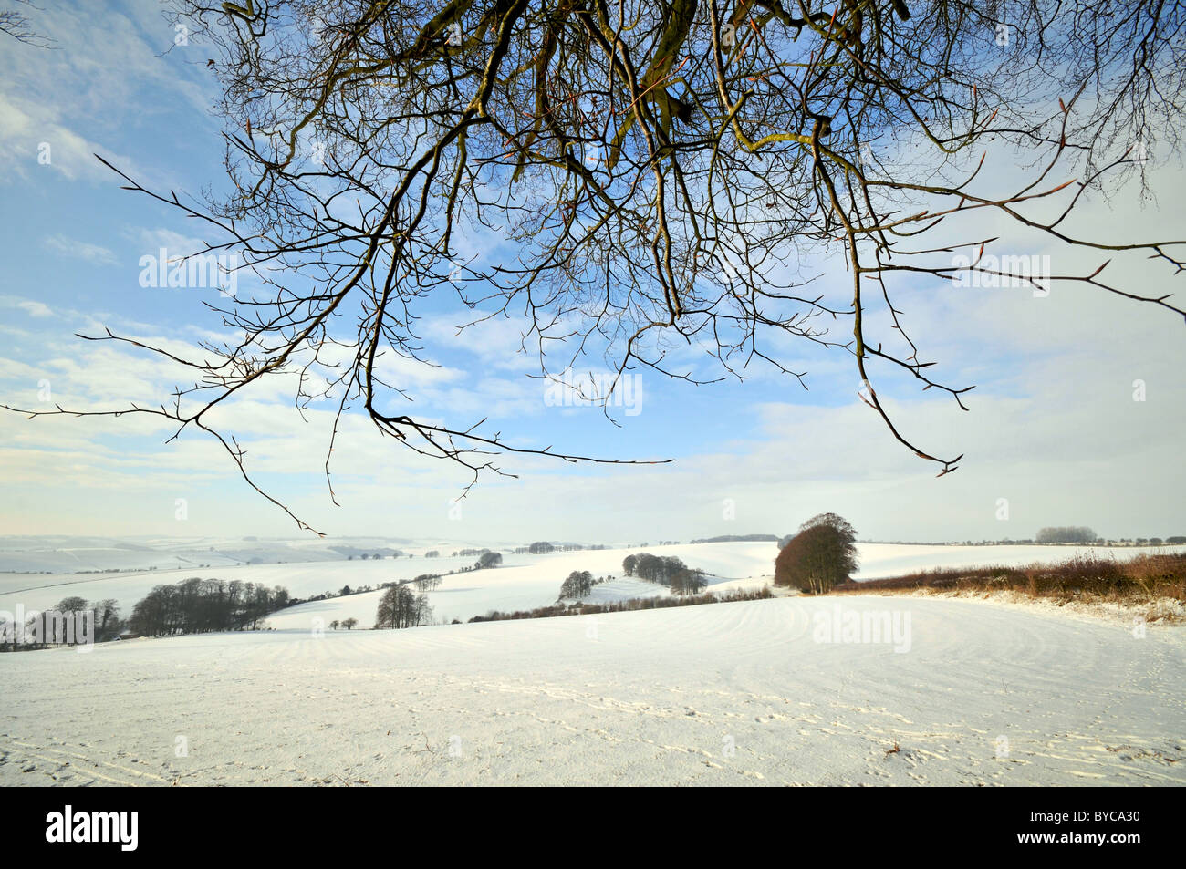 Baydon hi-res stock photography and images - Alamy