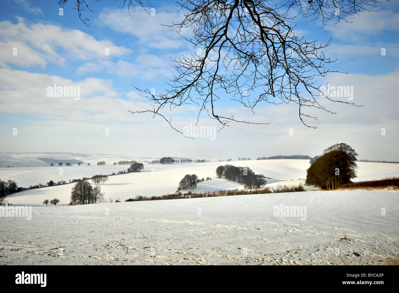 Baydon Wiltshire High Resolution Stock Photography and Images - Alamy