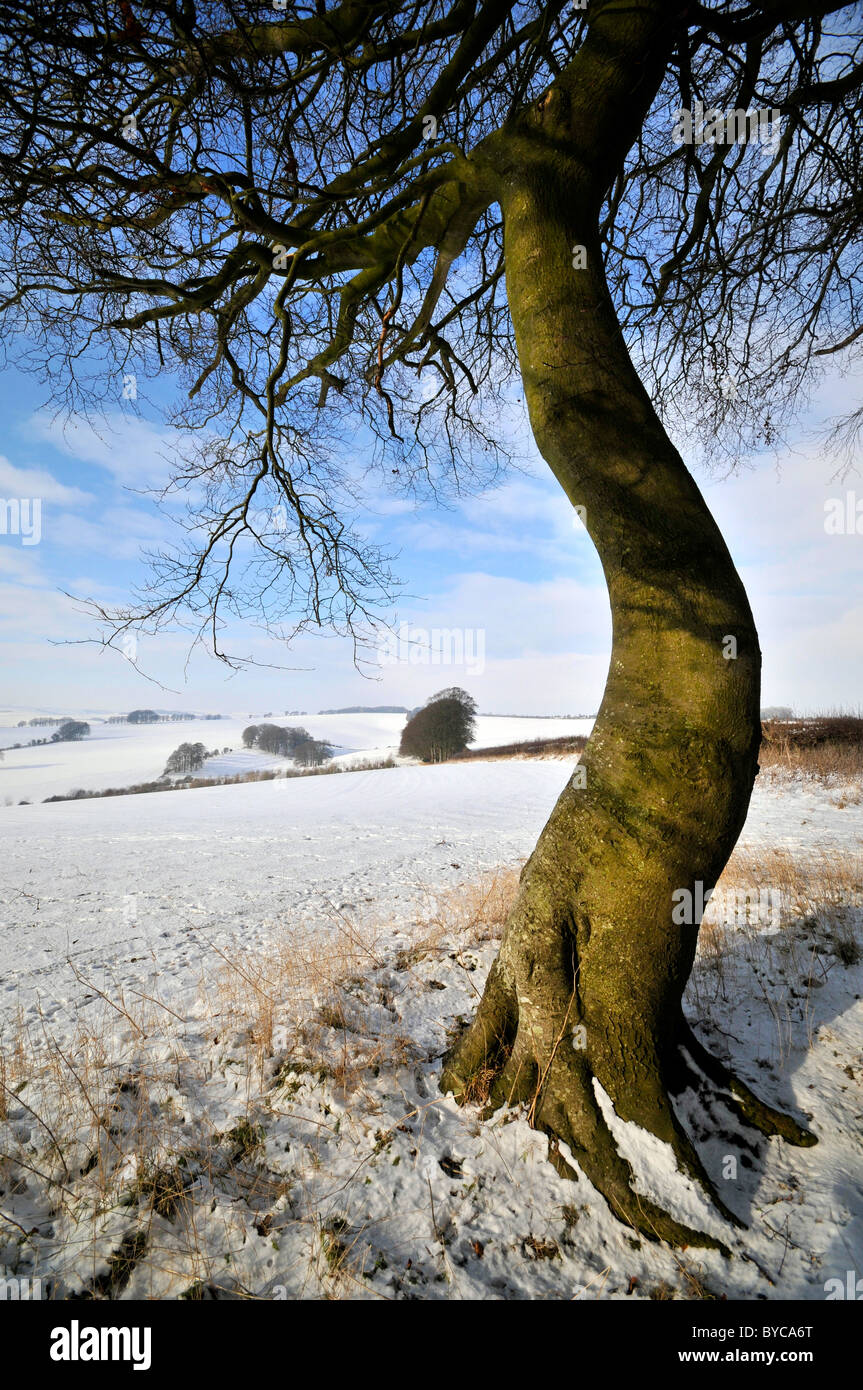 Baydon hi-res stock photography and images - Alamy