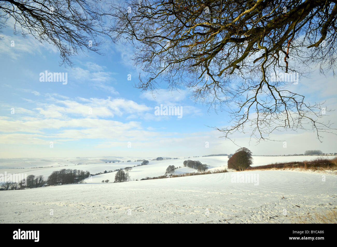Baydon hi-res stock photography and images - Alamy