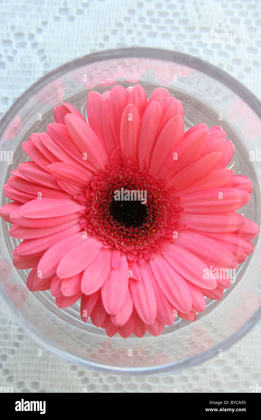 Pink floats hi-res stock photography and images - Alamy
