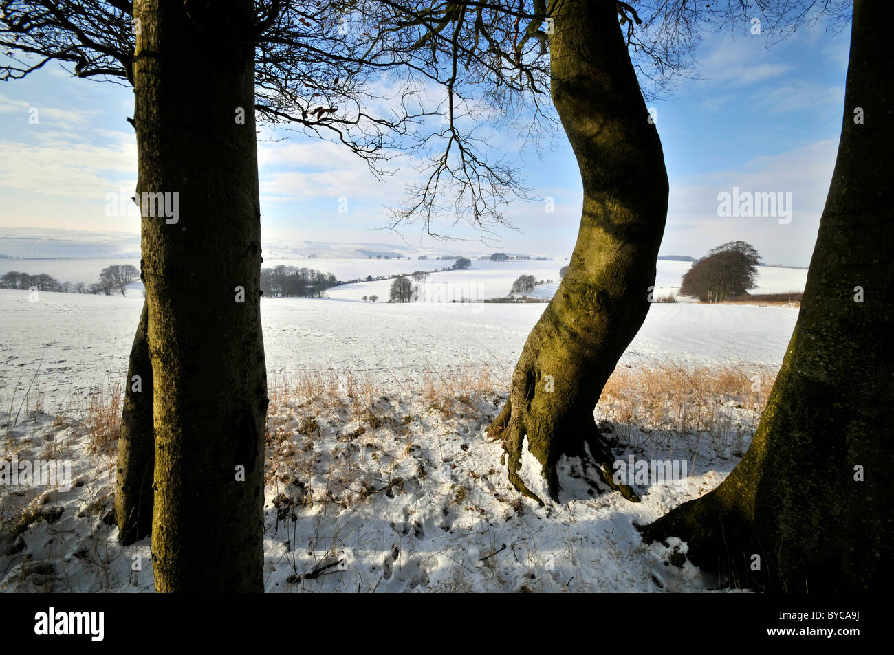 Baydon wiltshire hi-res stock photography and images - Alamy
