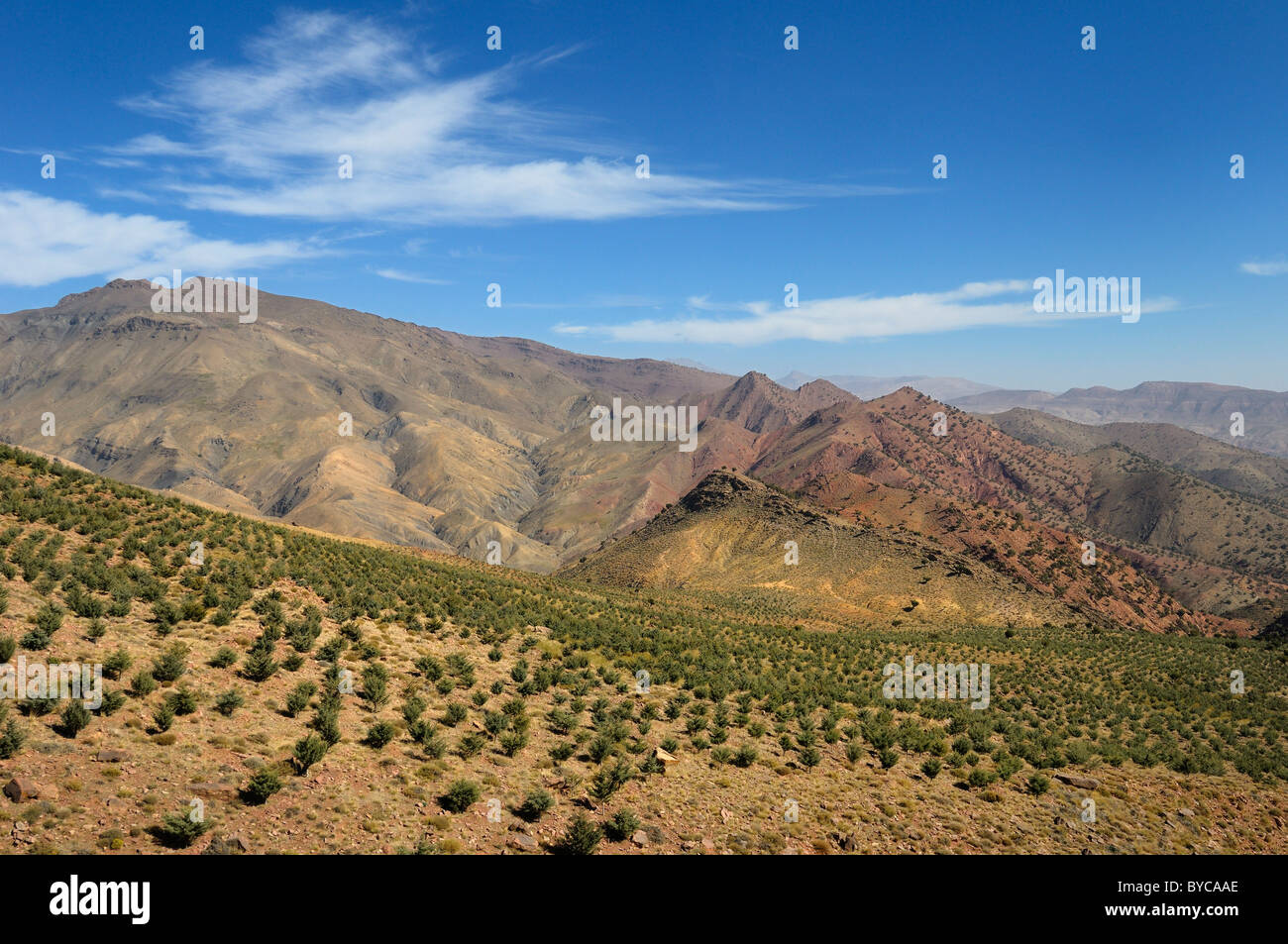 Reforestation project along the Tizi n Tichka Pass over the High Atlas ...