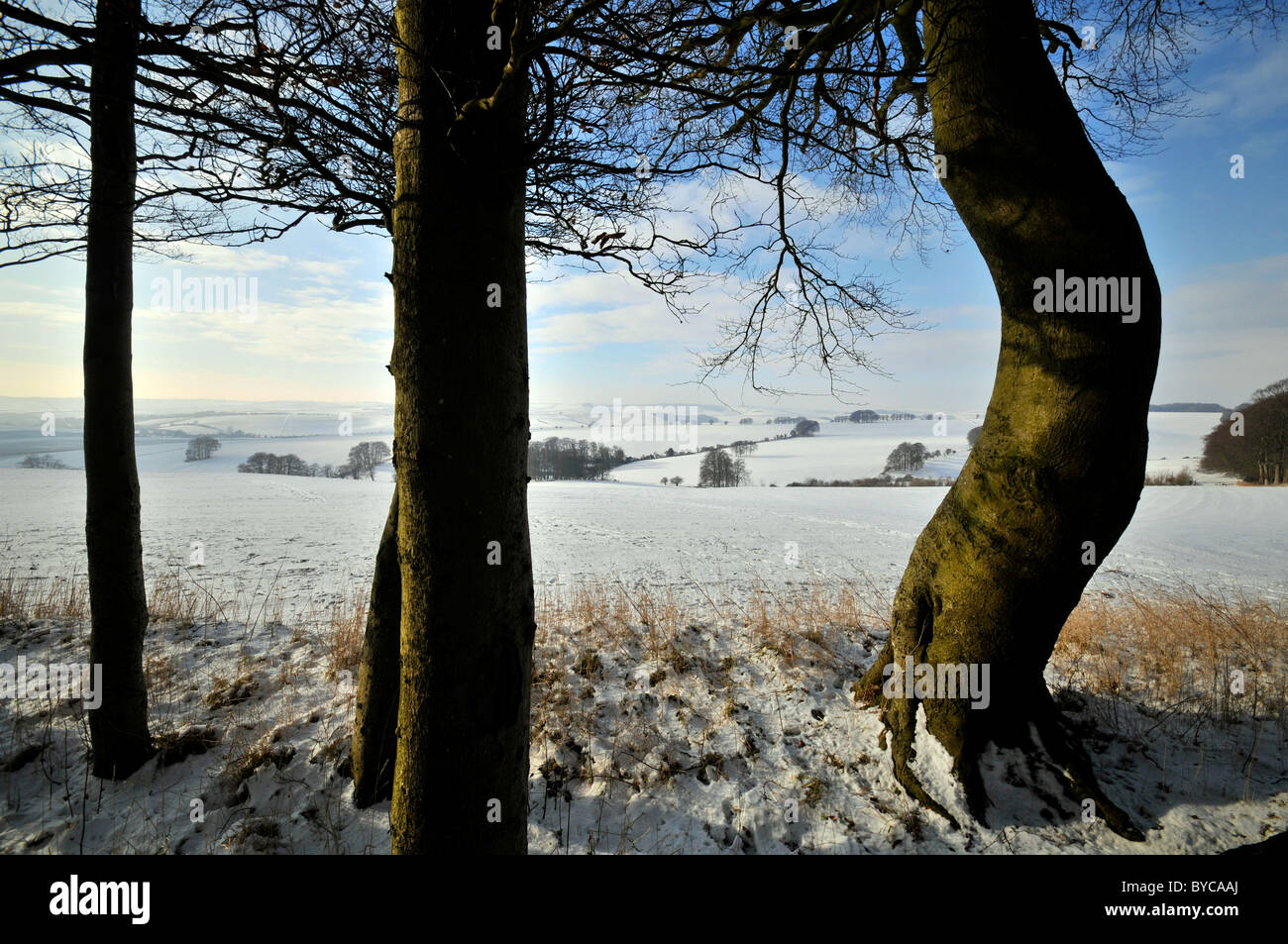 Baydon hi-res stock photography and images - Alamy