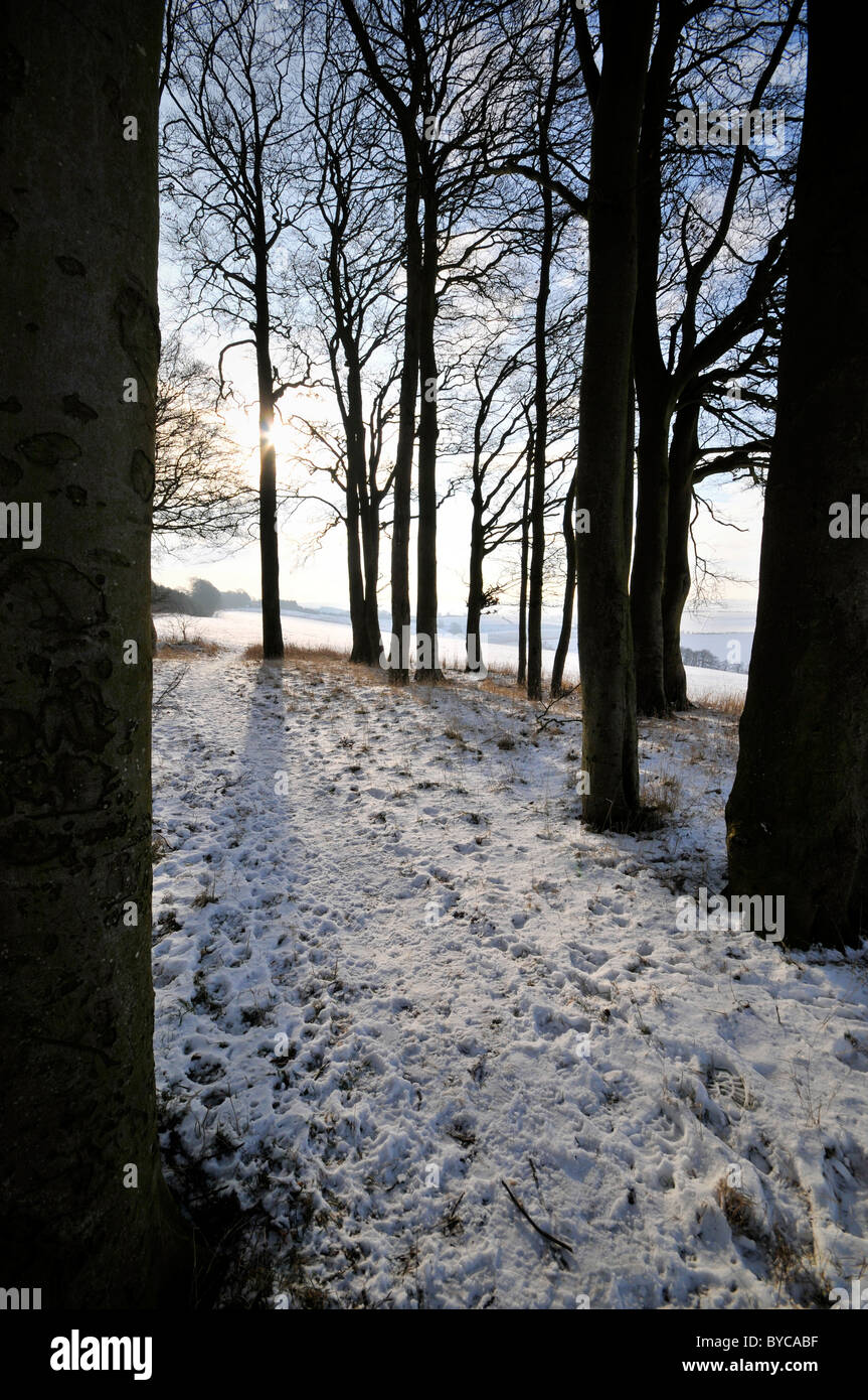 Baydon Wiltshire High Resolution Stock Photography and Images - Alamy