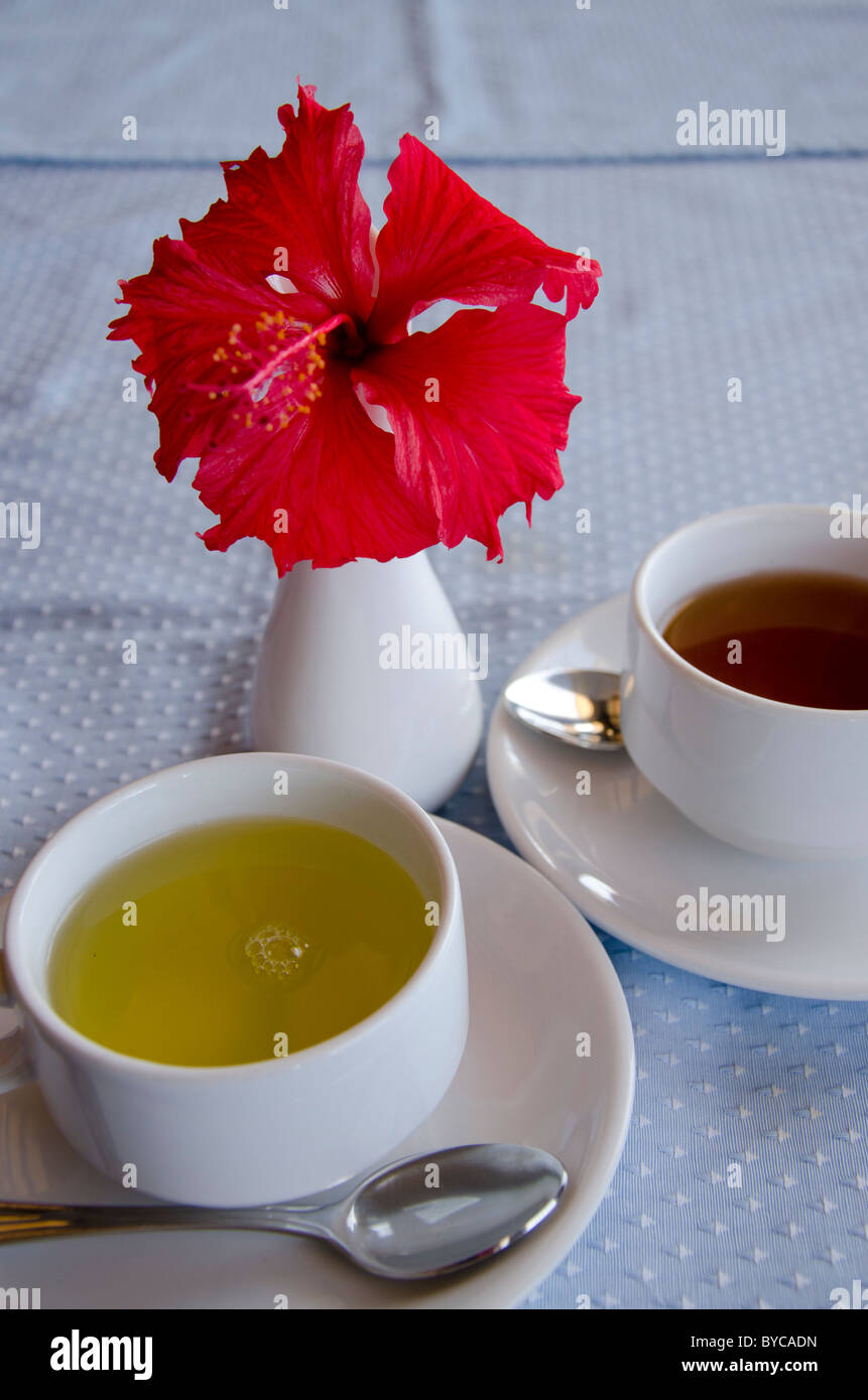 Seychelles, Island of Mahe. Morne National Park (aka Morne Seychellois ...