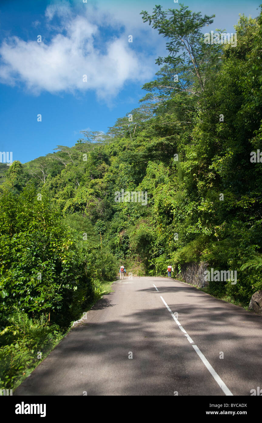 Seychelles, Island of Mahe. Typical country road, workers cleaning ...