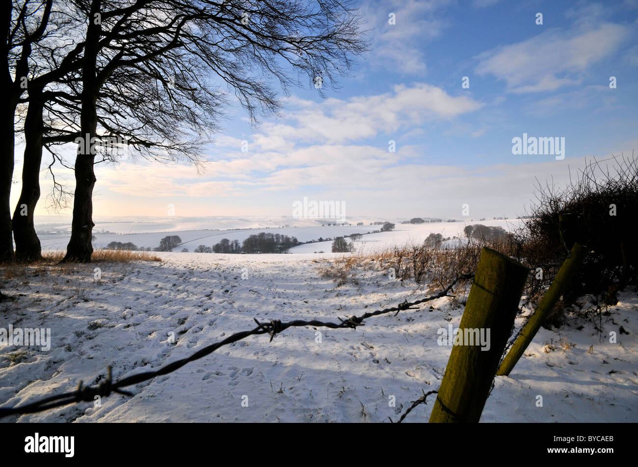 Baydon wiltshire hi-res stock photography and images - Alamy