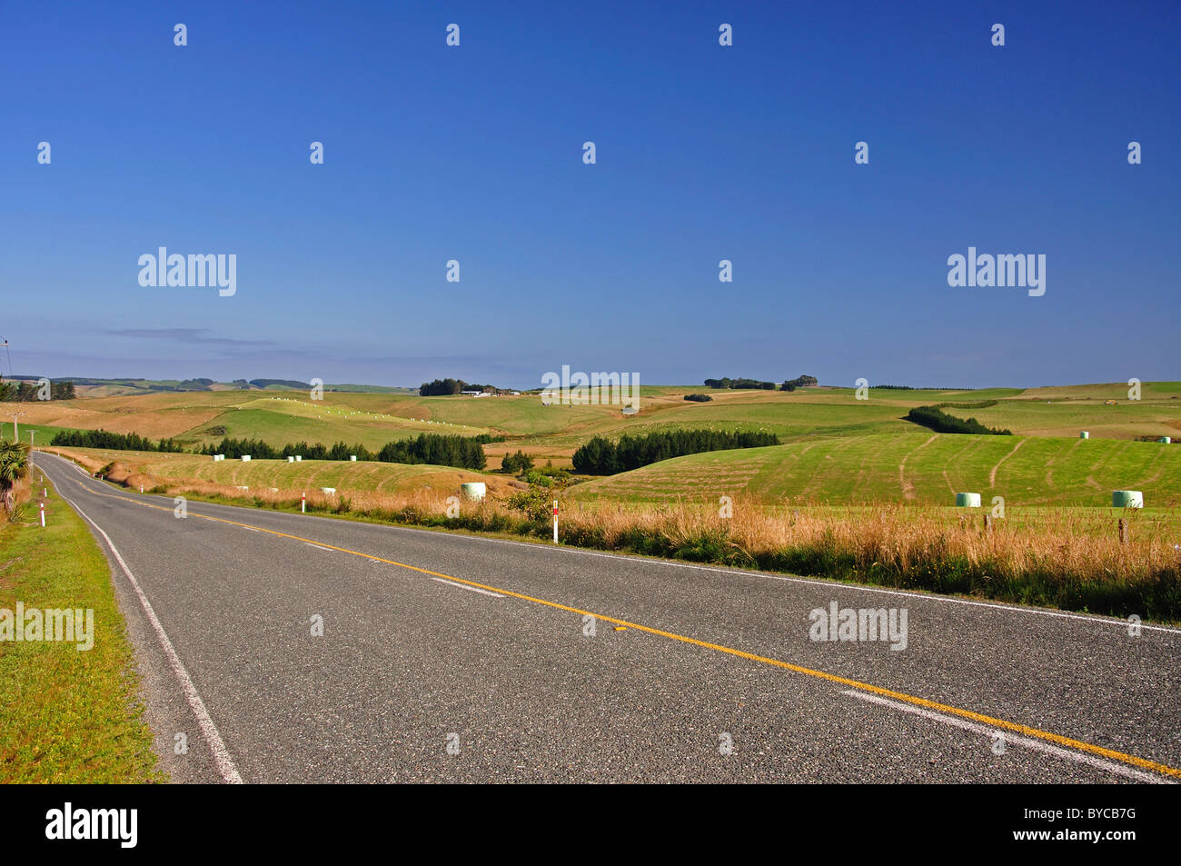 Landscape view on Southern Scenic Route through The Catlins, Southland ...