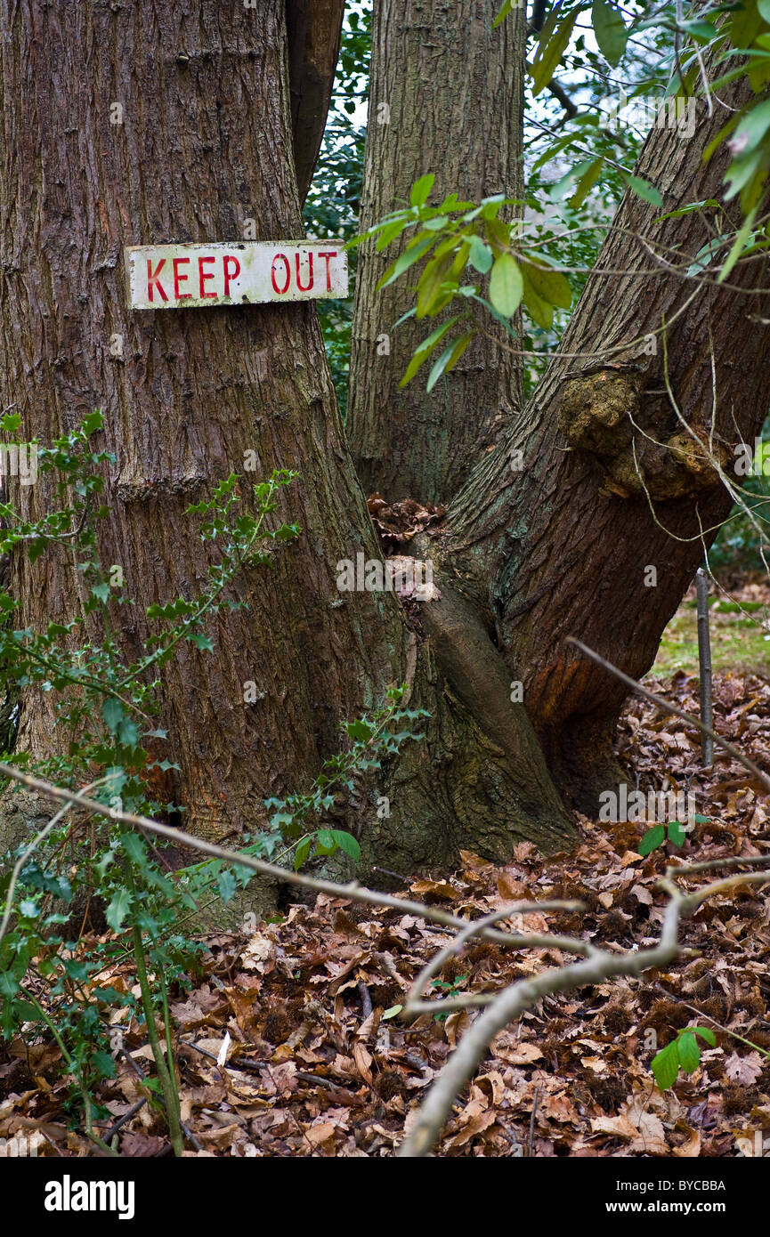 A keep out sign on a tree at Norsey Wood in Essex. Photograph by Gordon ...