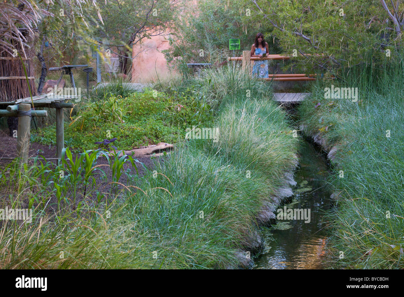 Springs Preserve Las Vegas Nevada Stock Photo Alamy springs-preserve-las-vegas-nevada-stock-photo-alamy
