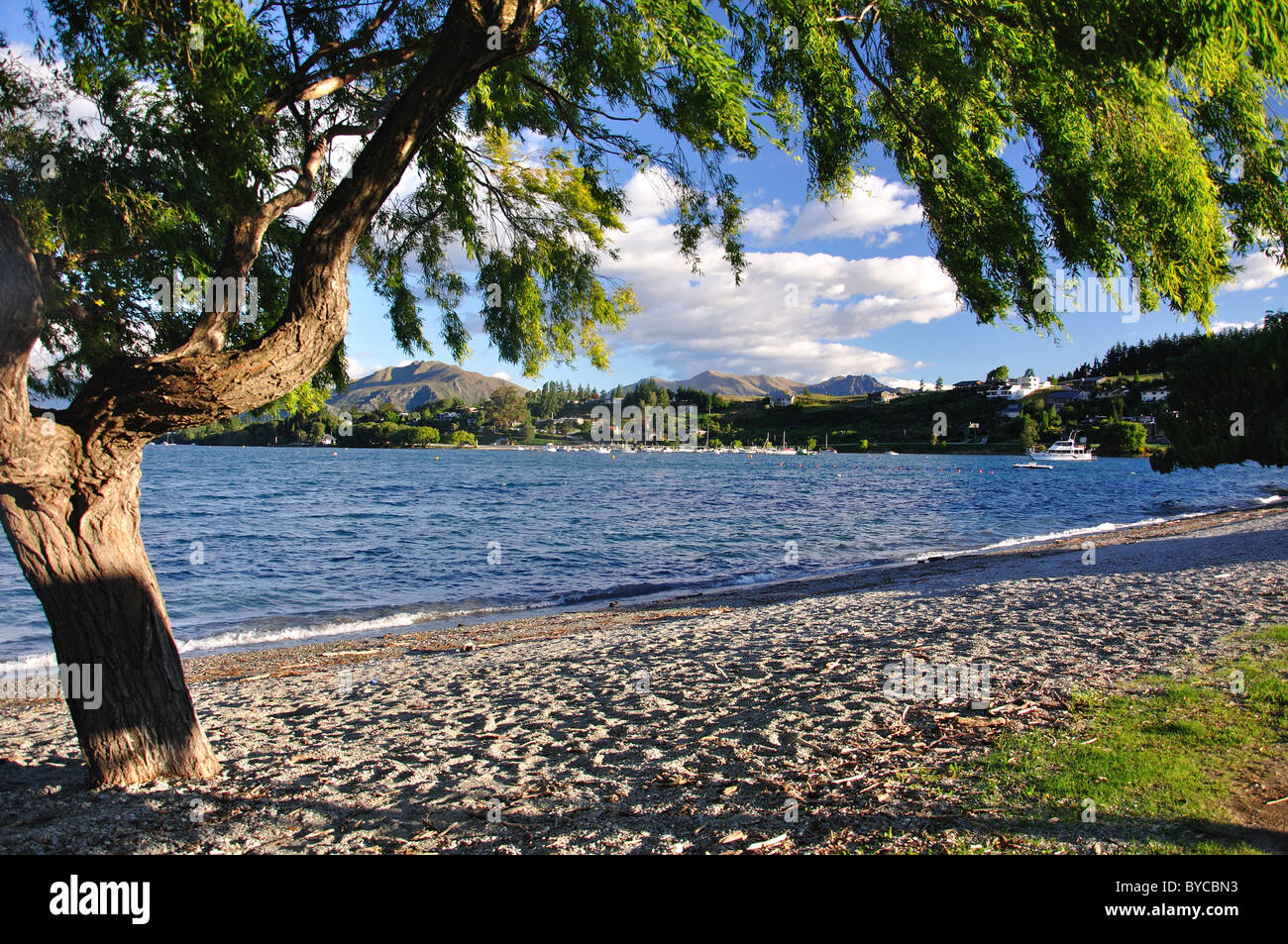 New zealand lake wanaka beach hi-res stock photography and images - Alamy