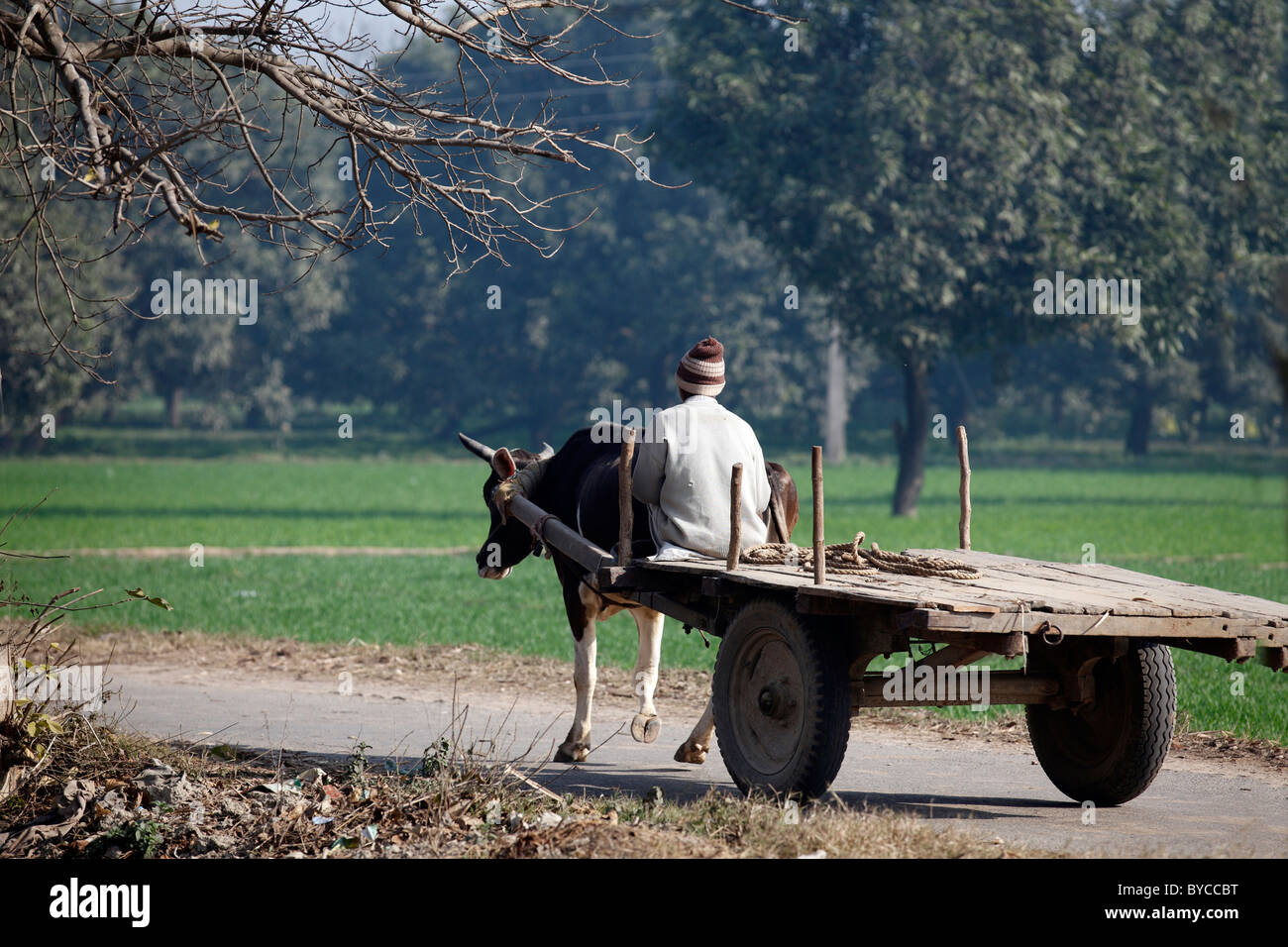 Bullock Cart Village High Resolution Stock Photography and Images - Alamy
