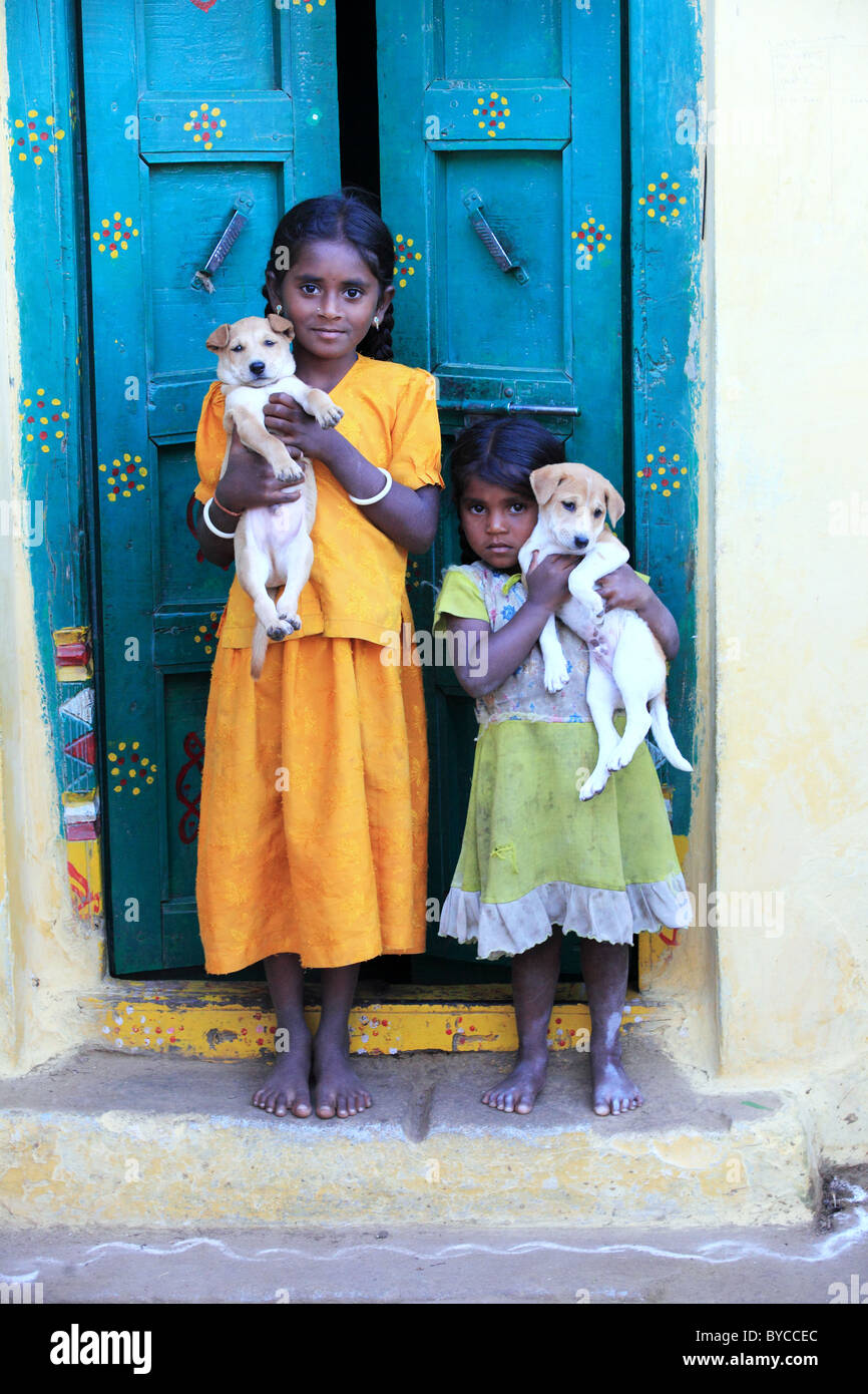 Indian dogs animal hi-res stock photography and images - Alamy