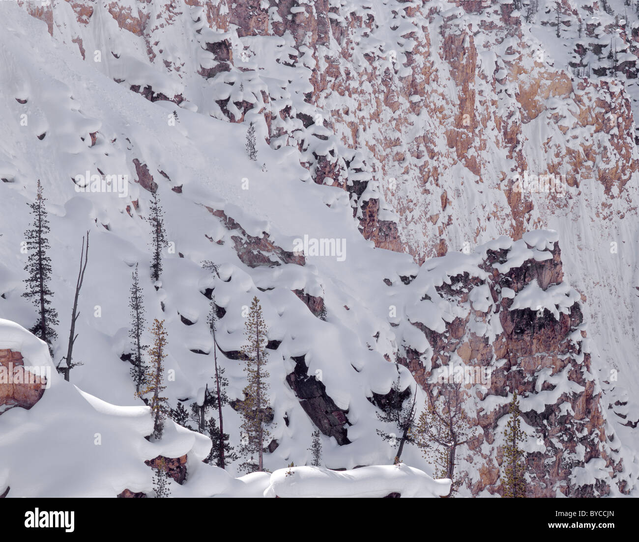 Snow on steep rhyolite cliffs, Grand Canyon of the Yellowstone, from ...