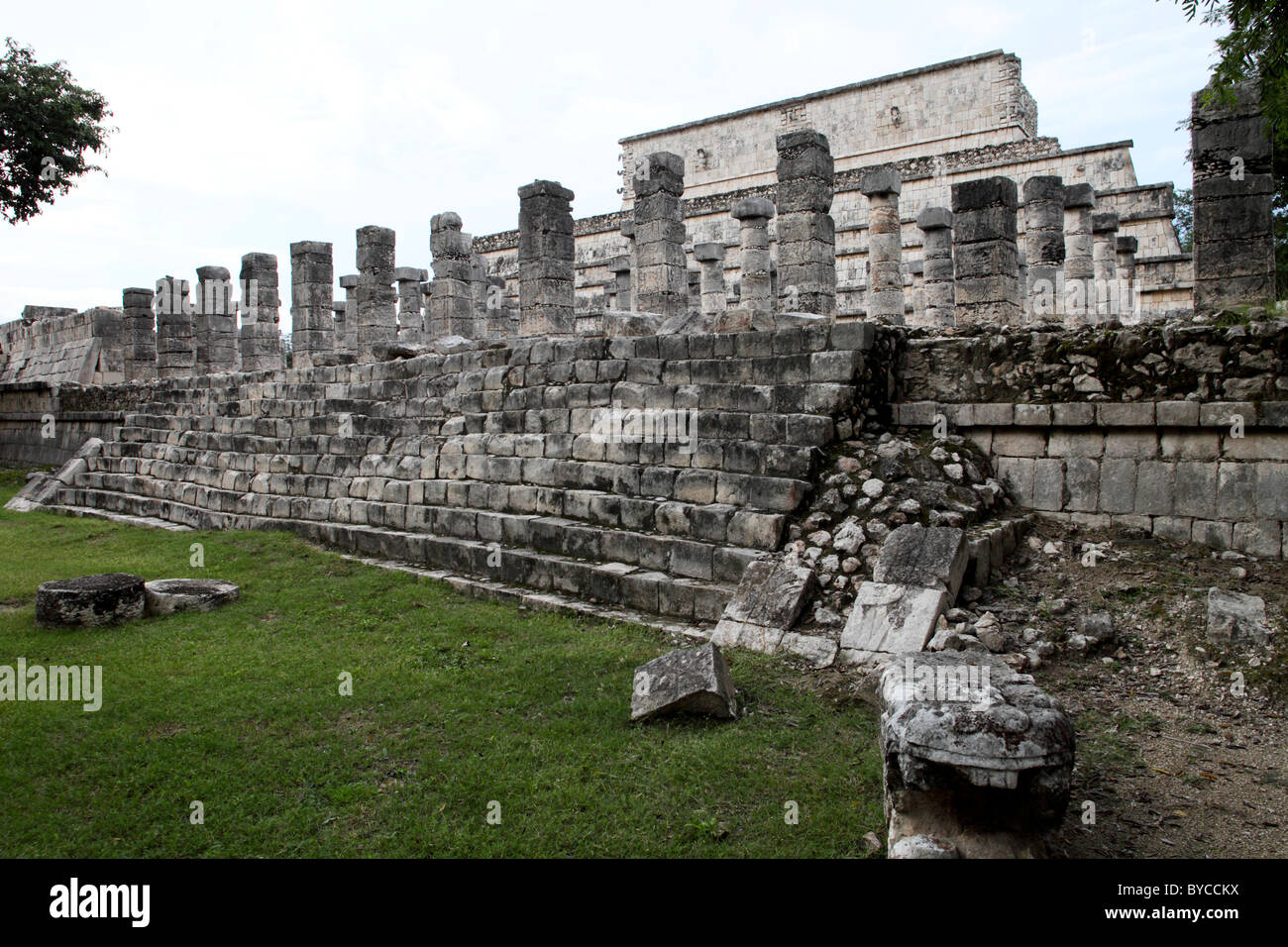COLUMNS IN THE TEMPLE OF THOUSAND WARRIORS, CHICHEN ITZA, YUCATAN ...