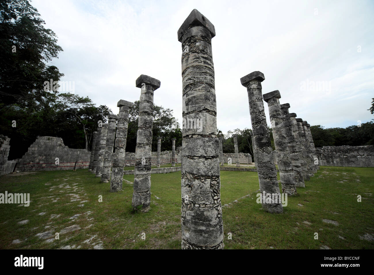 COLUMNS IN THE TEMPLE OF THOUSAND WARRIORS, CHICHEN ITZA, YUCATAN ...