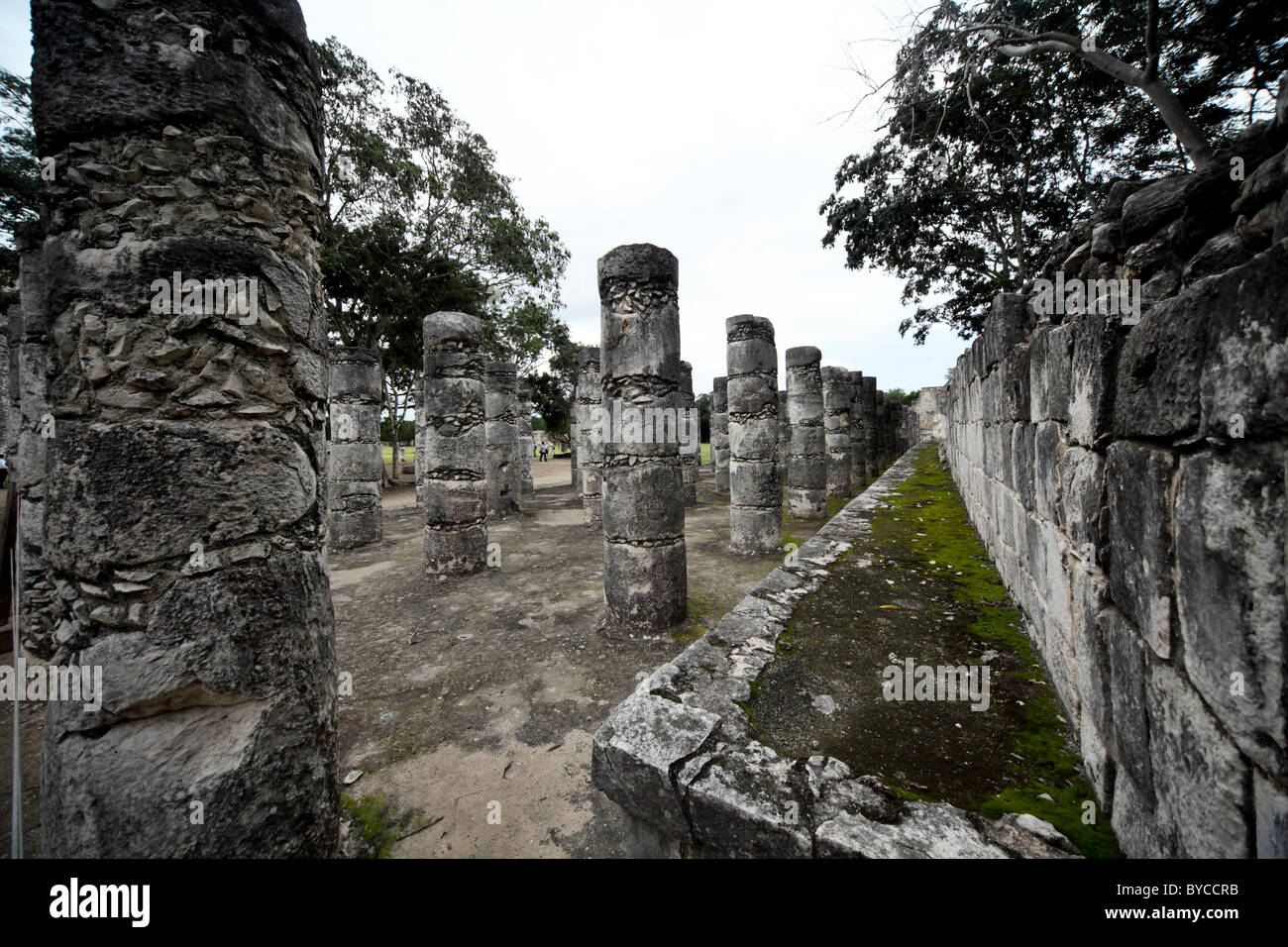 COLUMNS IN THE TEMPLE OF THOUSAND WARRIORS, CHICHEN ITZA, YUCATAN ...