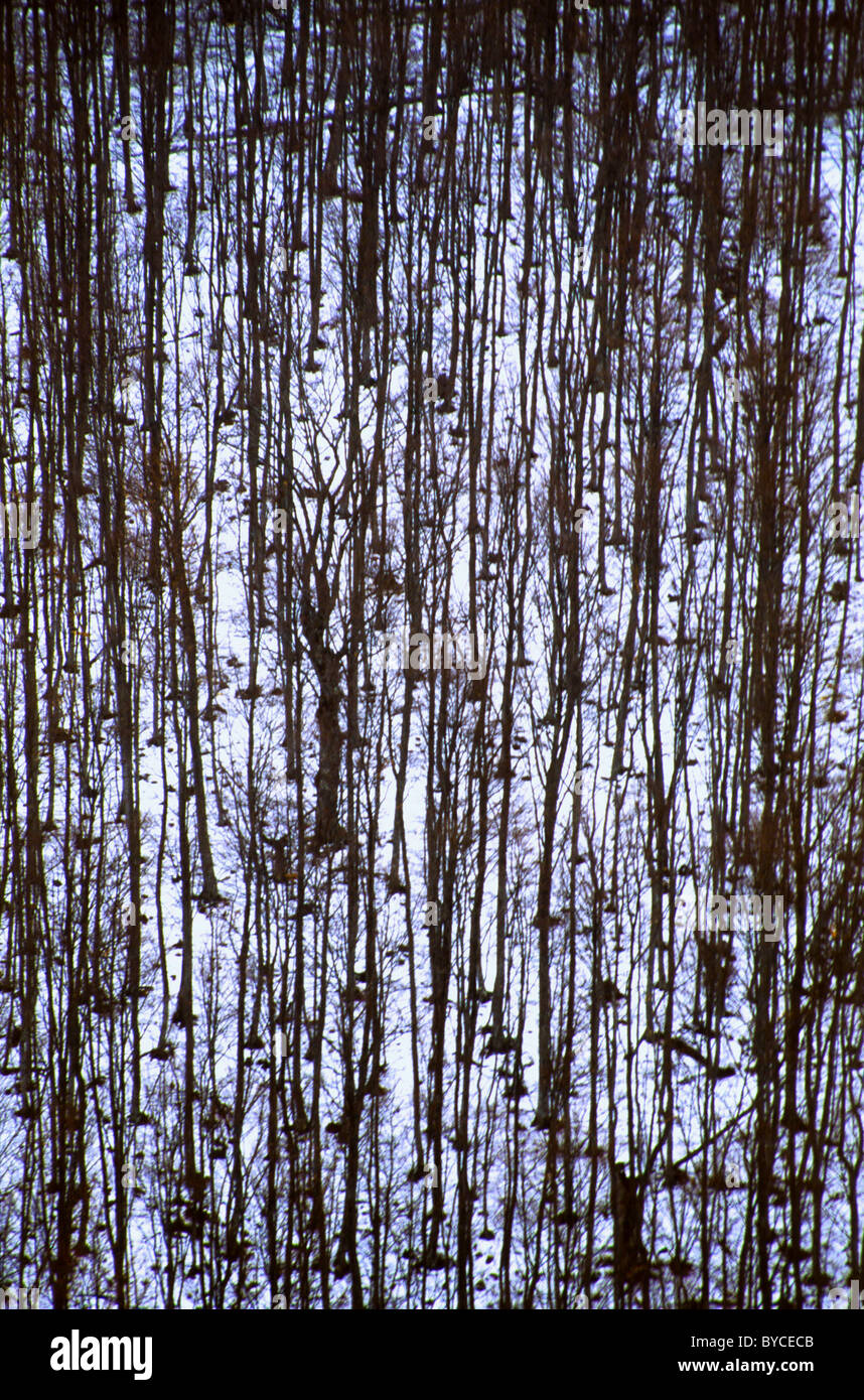 Vitsi greece hi-res stock photography and images - Alamy