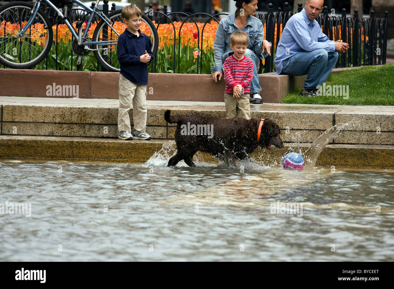 Dog chasing hi-res stock photography and images - Alamy