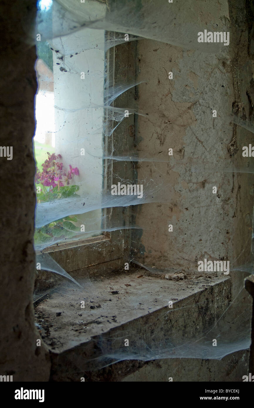Window of an old house covered in cobwebs Stock Photo - Alamy
