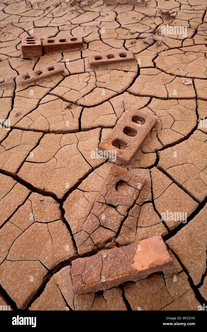 Bricks in dried up mud Stock Photo - Alamy