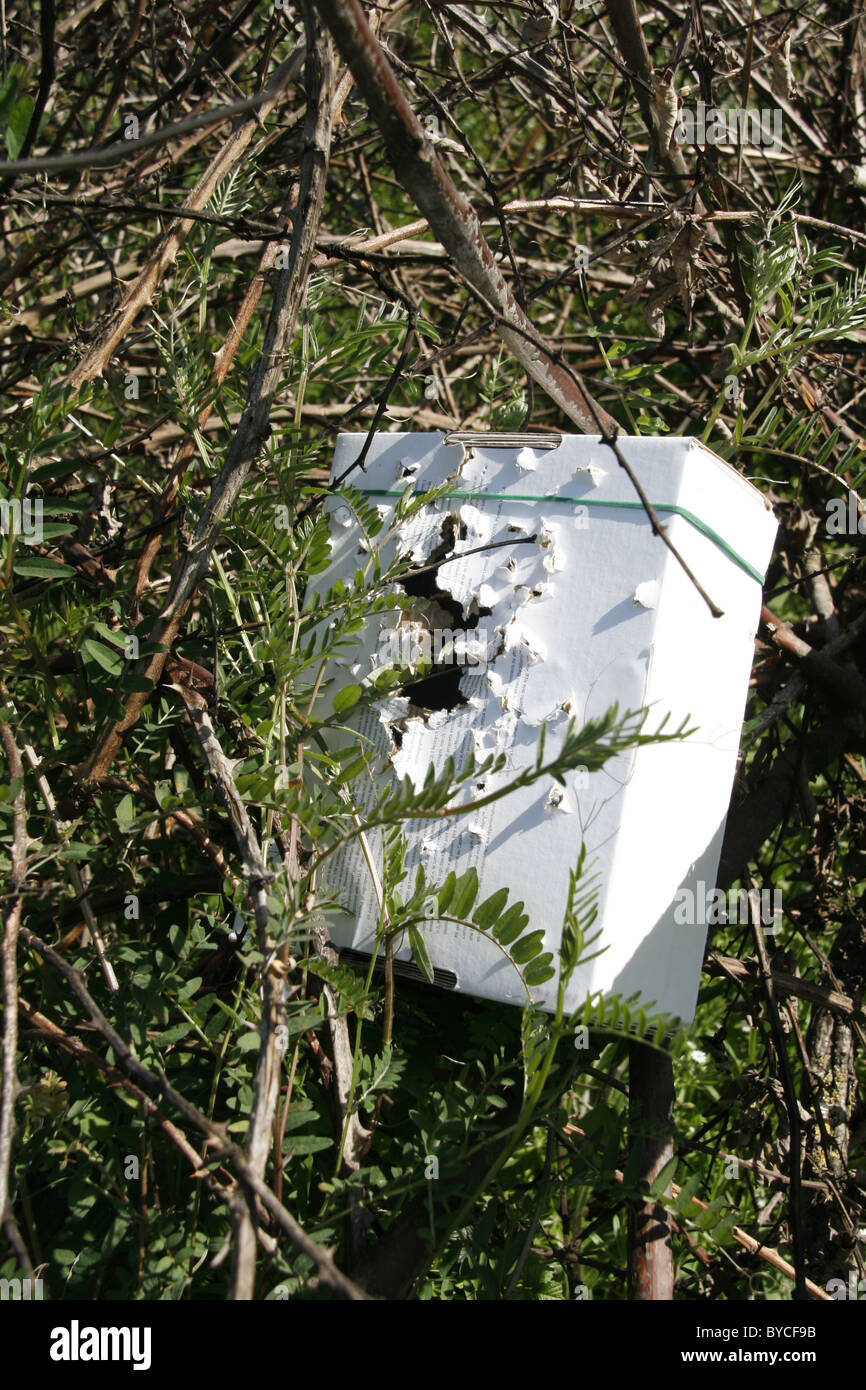 cardboard box used for target shooting practice on tree in countryside ...