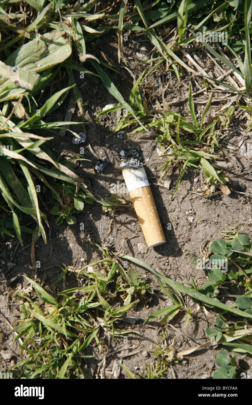 cigarette stub in field Stock Photo - Alamy