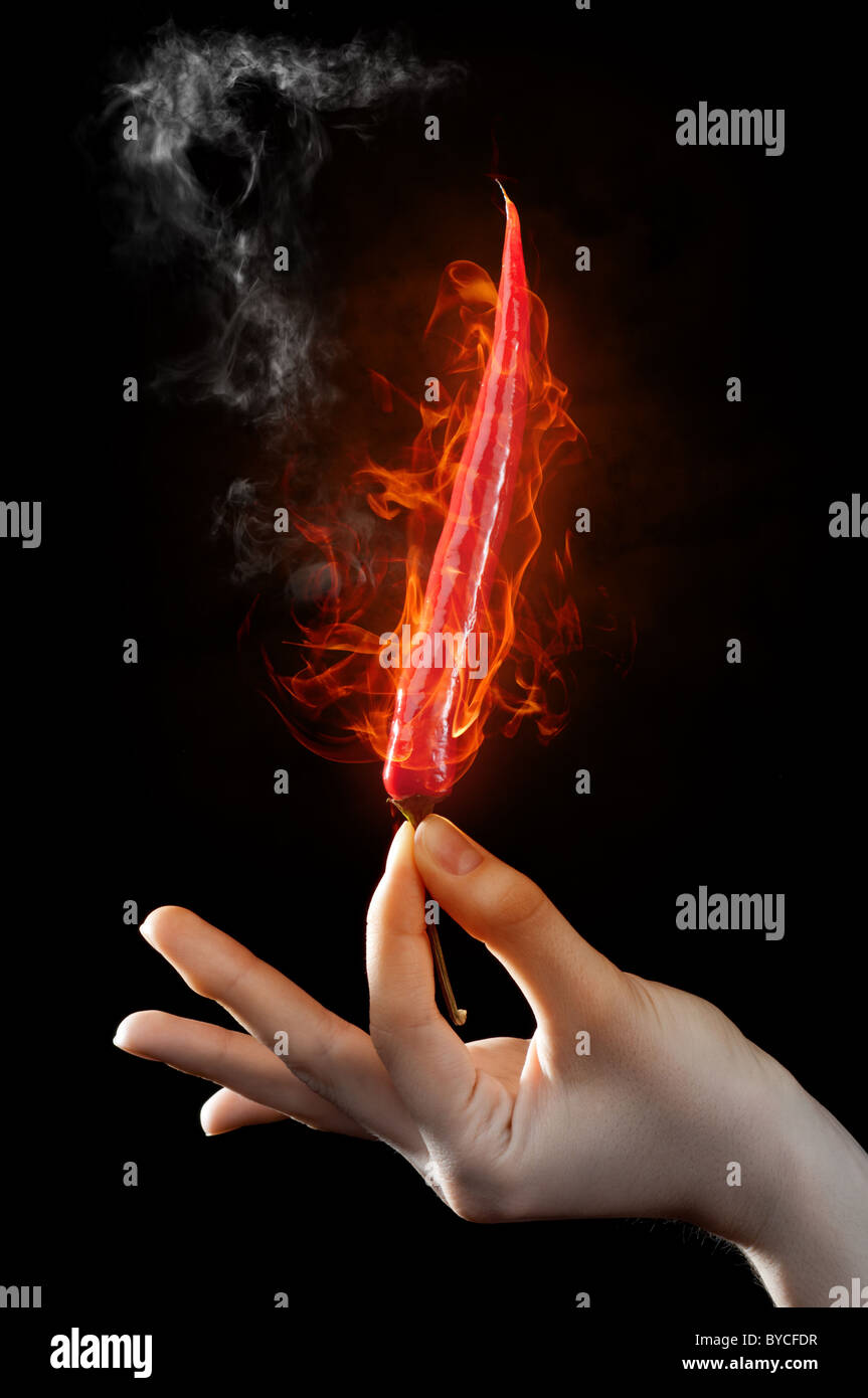 a red chili pepper on the hand Stock Photo - Alamy