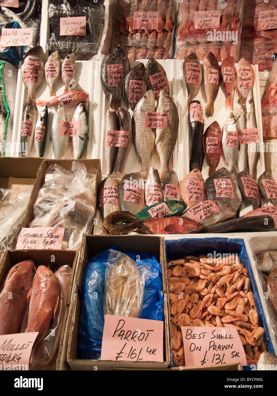 Fish counter tilapia hi-res stock photography and images - Alamy