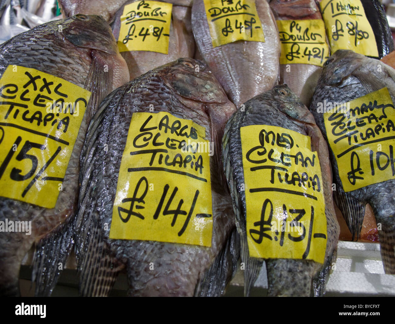 Large fish display counter hi-res stock photography and images - Alamy